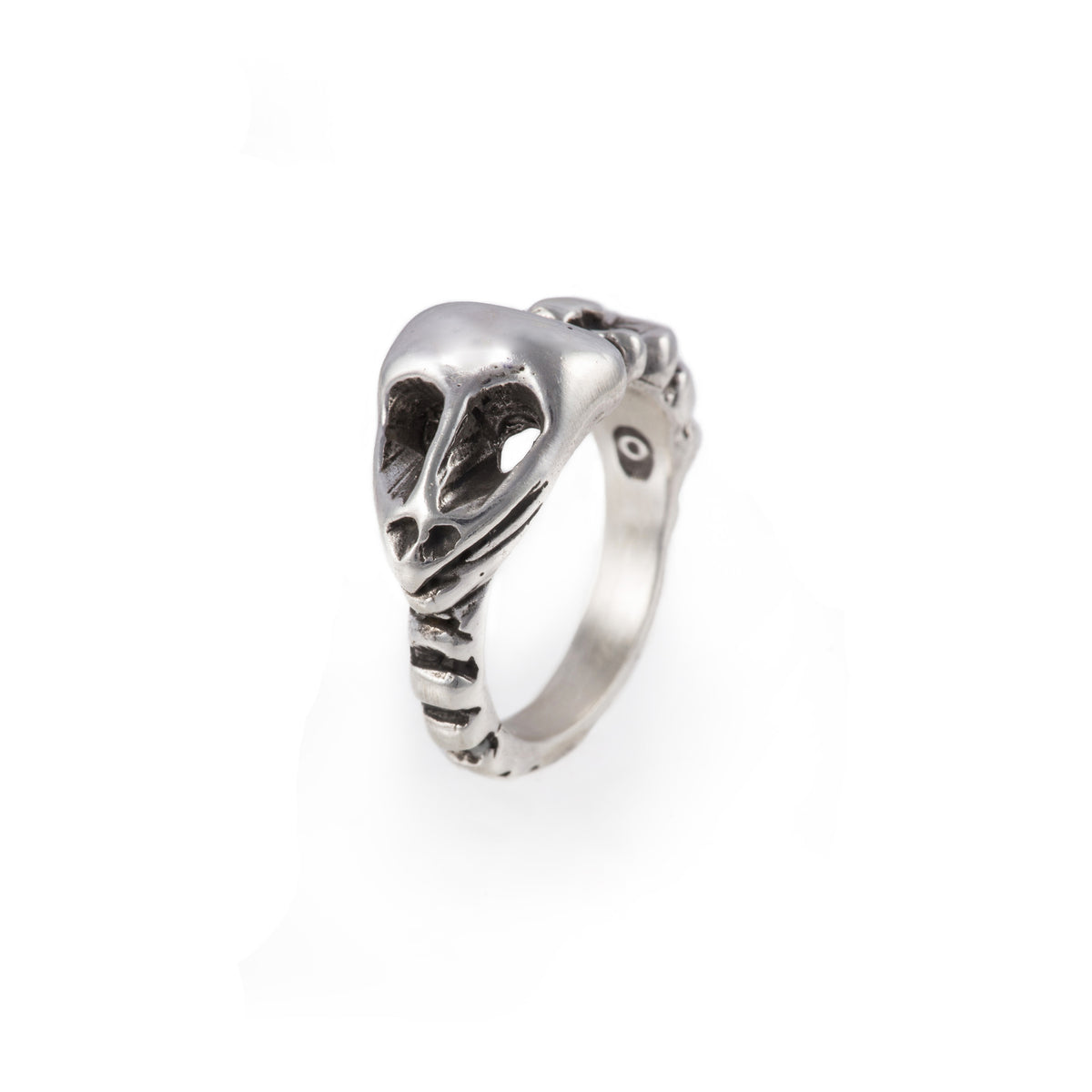 Baby Ouroboros Ring | Alex Streeter
