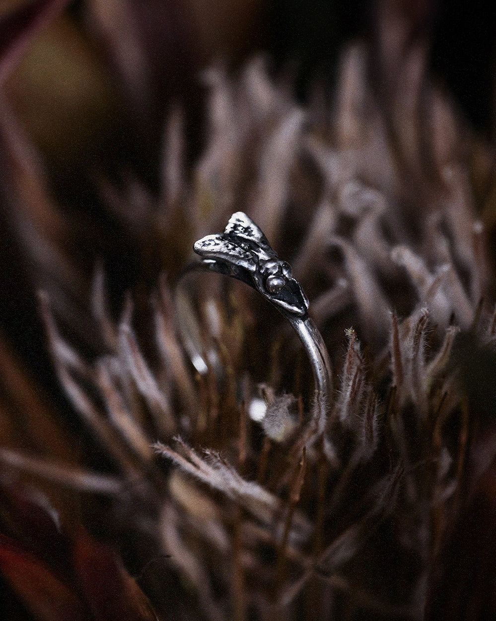 Tiny Fly Ring | Alex Streeter