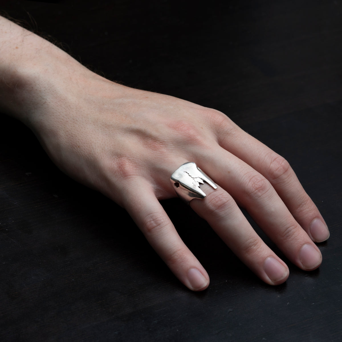 Ghost Buffalo Ring | Alex Streeter